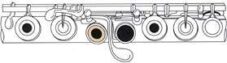 Types of flute available on - Flute World