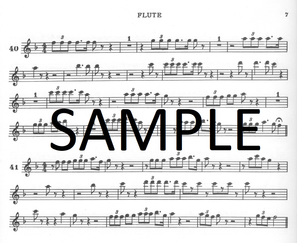 Buy 101 Rhythmic & Rest Patterns Online at $7.99 - Flute World