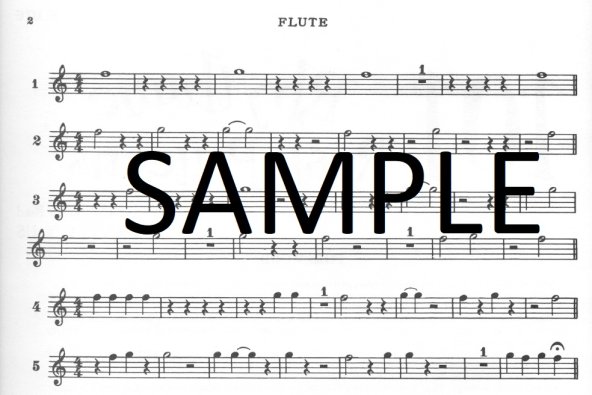 Buy 101 Rhythmic & Rest Patterns Online at $7.99 - Flute World