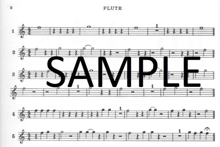 Buy 101 Rhythmic & Rest Patterns Online at $7.99 - Flute World