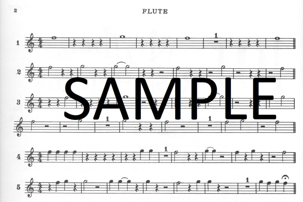 Buy 101 Rhythmic & Rest Patterns Online at $7.99 - Flute World