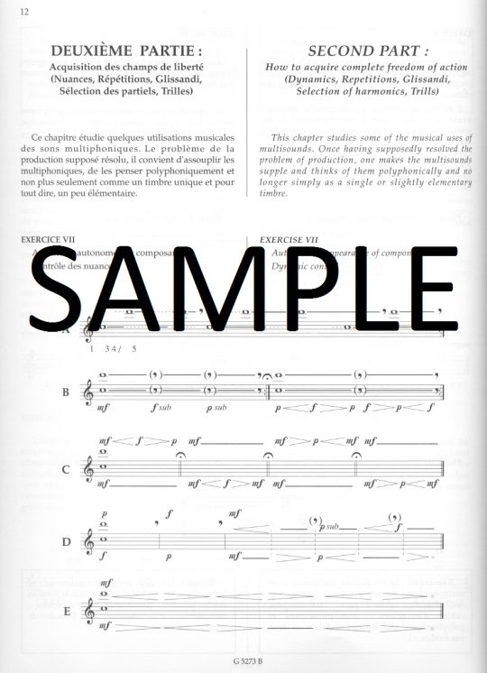 Buy Multiphonic Flute Online at $16.95 - Flute World