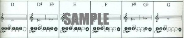 Buy Basic Fingering Chart for Piccolo Online at $4.95 - Flute World
