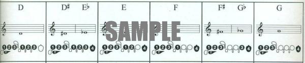 Buy Basic Fingering Chart for Piccolo Online at $4.95 - Flute World