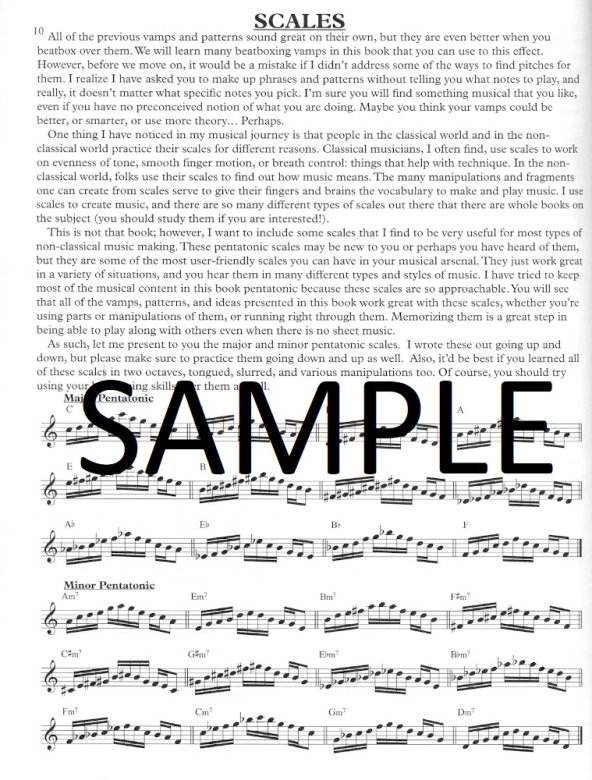 Buy Beatbox Flute Method Book (v.1) Online at $28.99 - Flute World