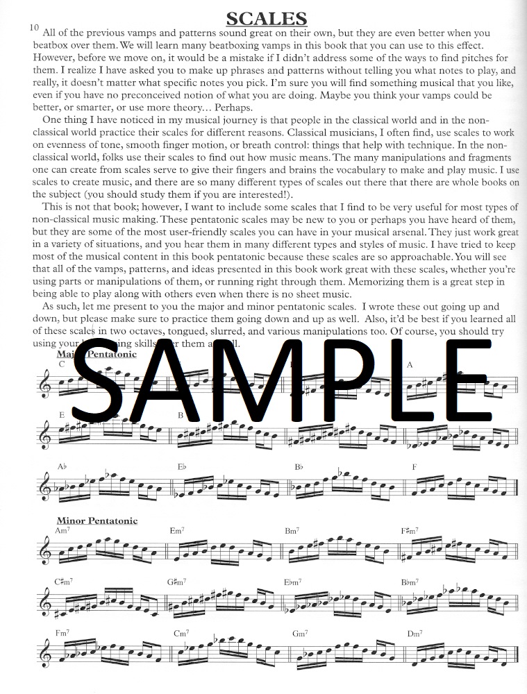 Buy Beatbox Flute Method Book (v.1) Online at $28.99 - Flute World