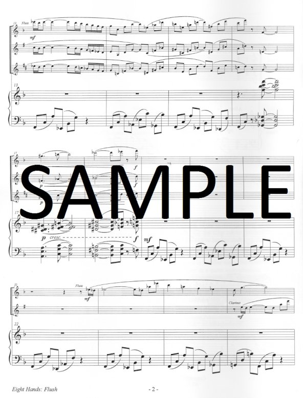 Buy Eight Hands Online at $42 - Flute World