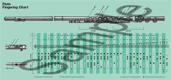 Buy Flute Fingering Chart (tri-fold laminated) Online at $7.95 - Flute ...