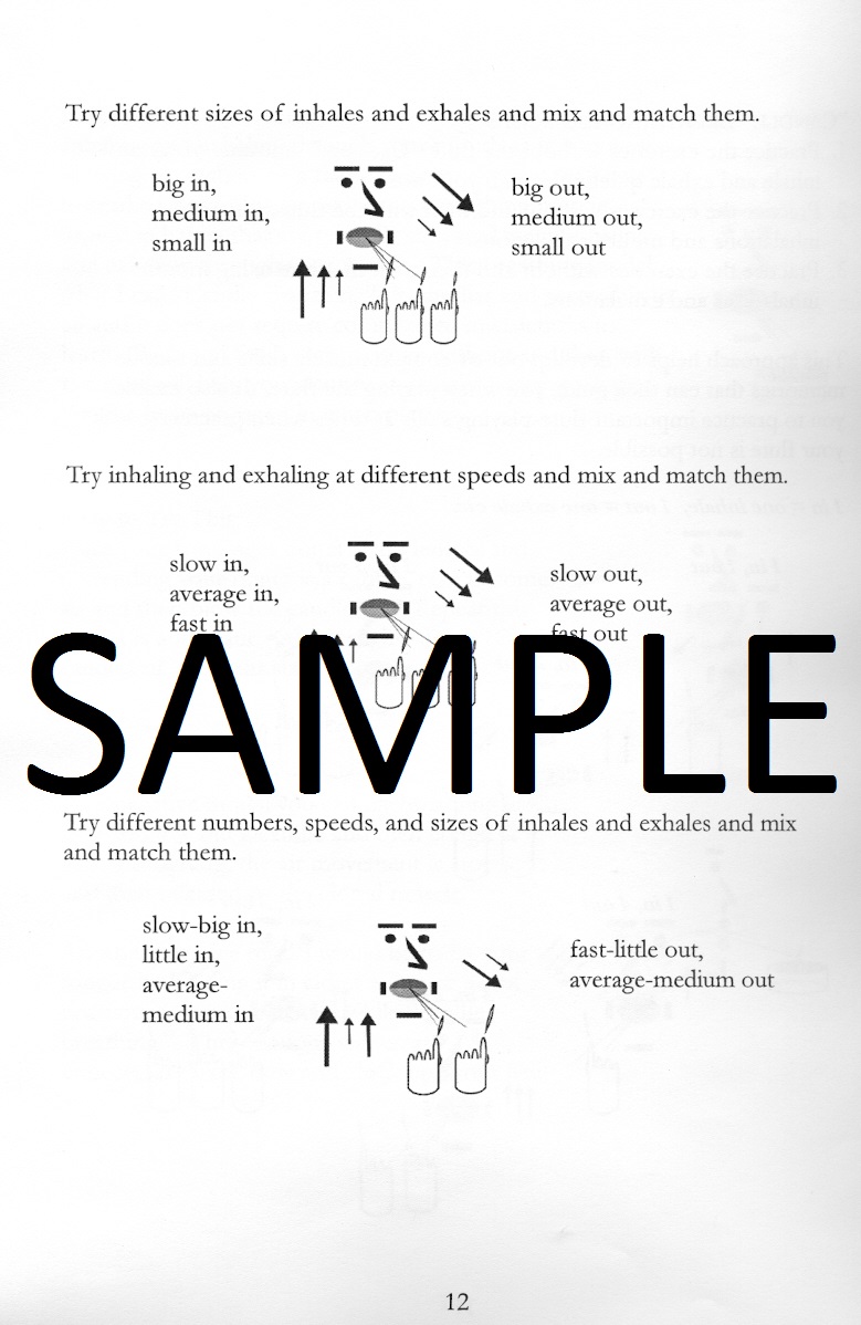 Buy Flute Playing and the Art of Doing Less (v.1)-Air, Lip and Tongue ...