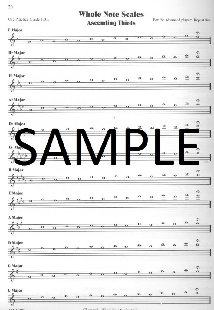 Buy Flute 101: Mastering the Basics Online at $22.99 - Flute World