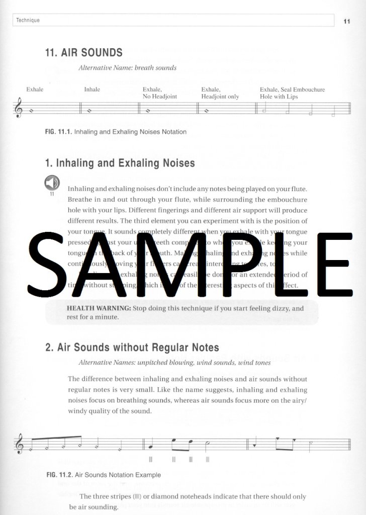 Buy Flute Sound Effects Online at $16.99 - Flute World