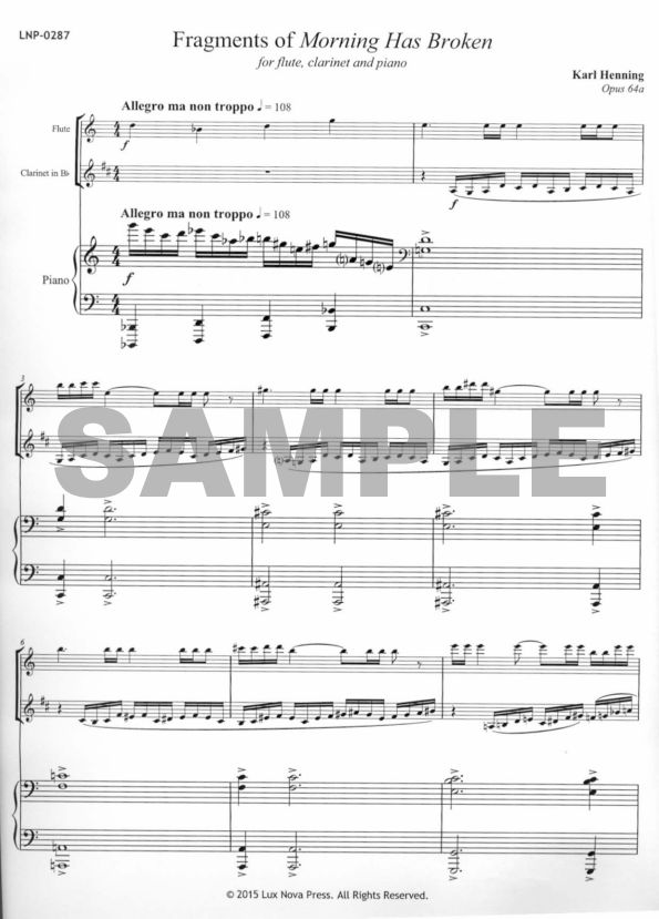 Buy Fragments of Morning Has Broken Op64a Online at $9.95 - Flute World