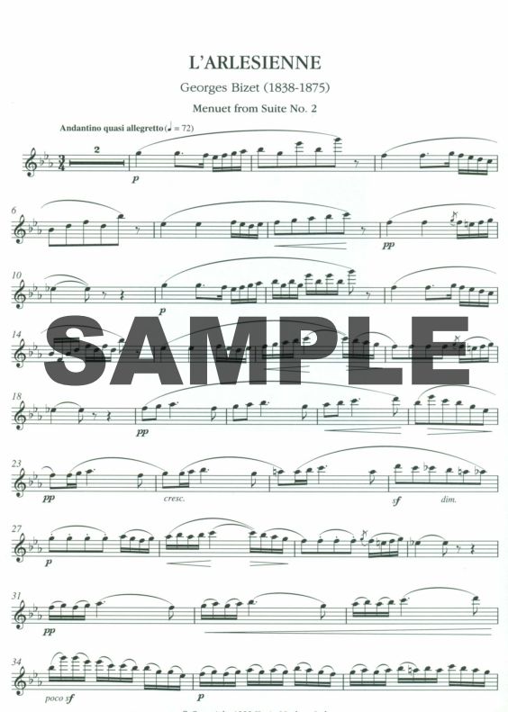 Buy Great Orchestral Solos Online at $14.95 - Flute World