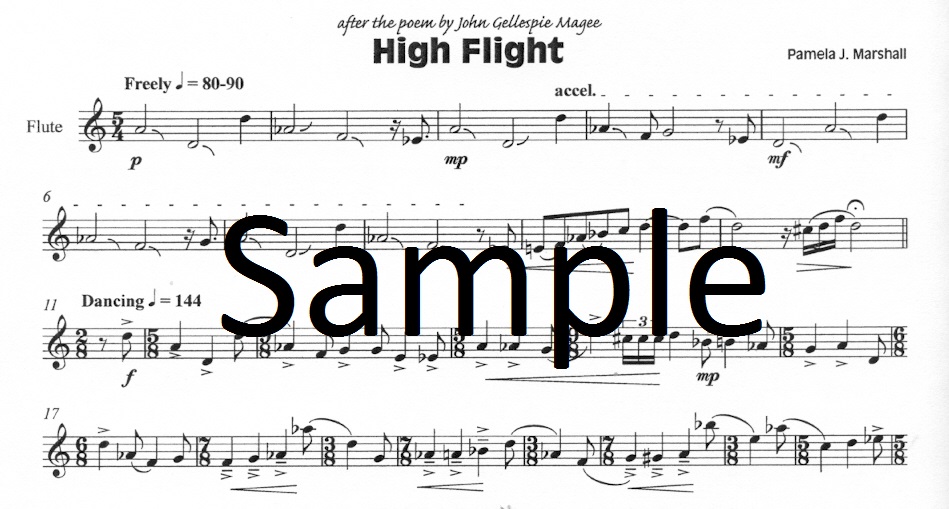 Buy High Flight Online at $6 - Flute World