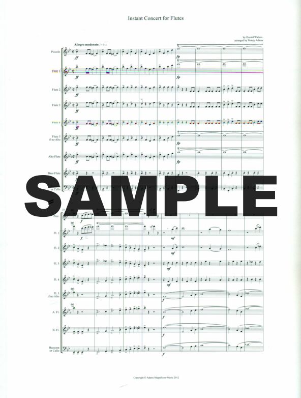 Buy Instant Concert Online at $30 - Flute World