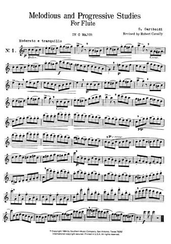 Buy Melodious & Progressive 1 Online at $19.99 - Flute World