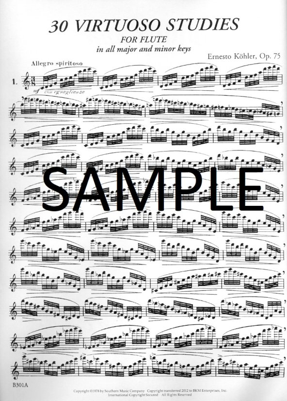 Buy Melodious & Progressive 4 Online at $34.99 - Flute World