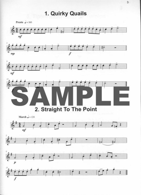 Buy Modern Flute Player, The - 40 Graded Pieces Online at $24.95 ...