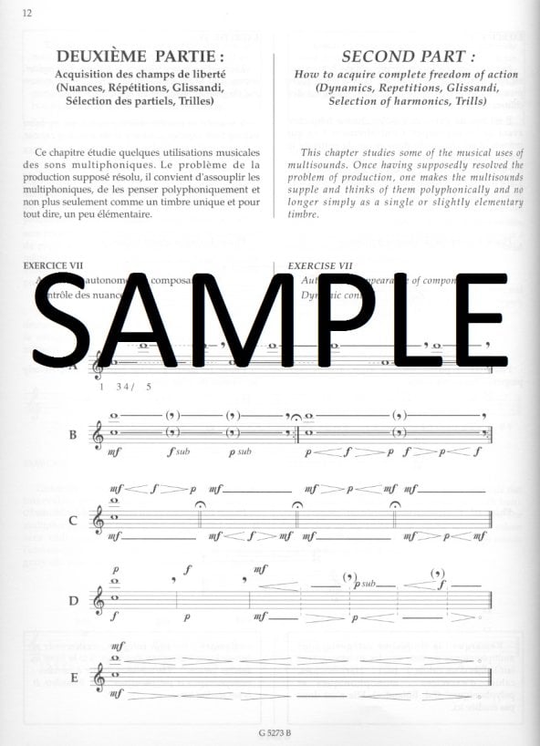 Buy Multiphonic Flute Online at $16.95 - Flute World