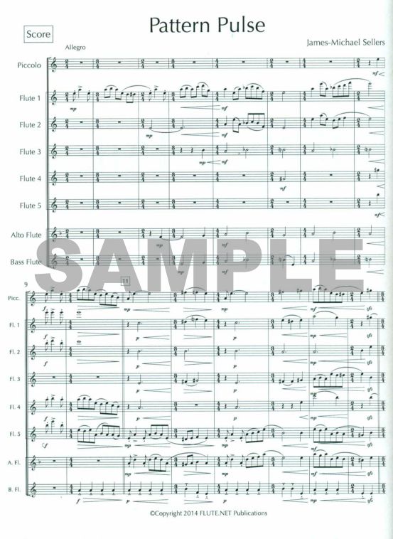 Buy Pattern Pulse Online at $28 - Flute World