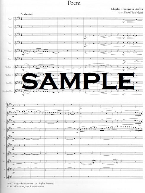 Buy Poem for Flute Orchestra Online at $27 - Flute World