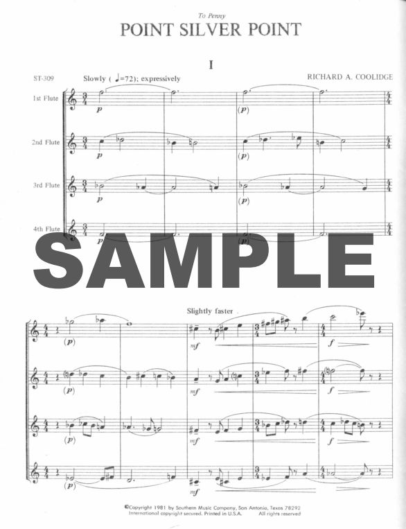 Buy Point Silver Point Online at $15 - Flute World