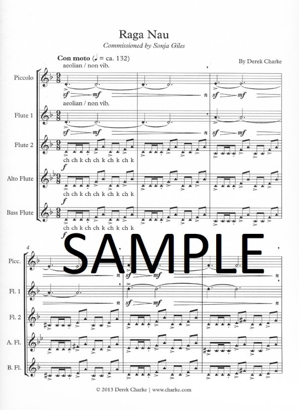 Buy Raga Nau Online at $54.95 - Flute World