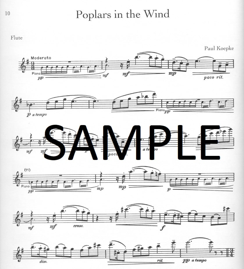 Buy Rubank Treasures for Flute Online at $17.99 - Flute World