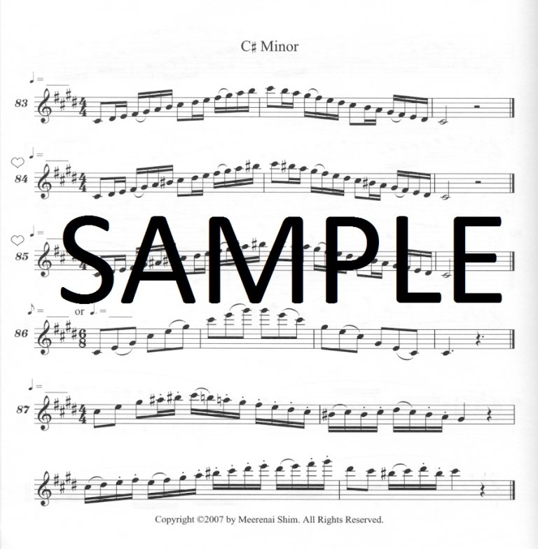 Buy Scale Studies for Beginner and Intermediate Flutists Online at $14. ...