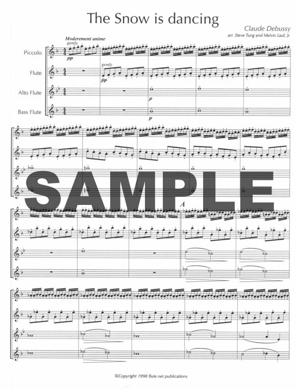 Buy Snow is Dancing Online at $16 - Flute World
