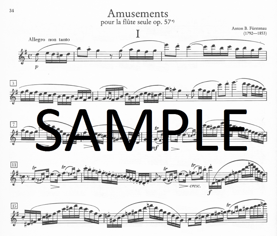 Buy Solo Flute, The (Book 3)- Romantic Online at $25.95 - Flute World