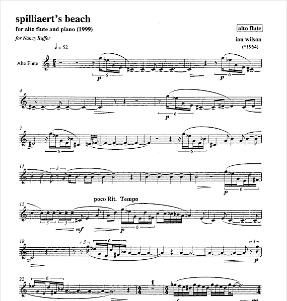 Buy Spilliaert's Beach 1999 Online at $19.95 - Flute World