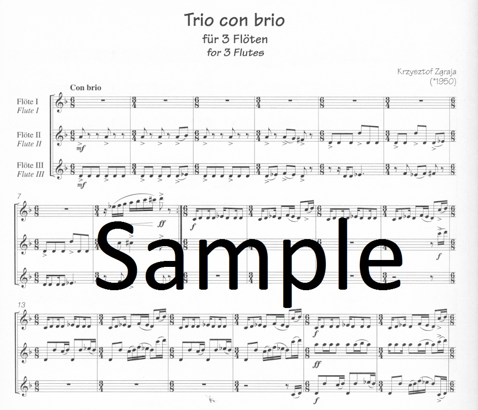 Buy Trio con Brio Online at $13.95 - Flute World