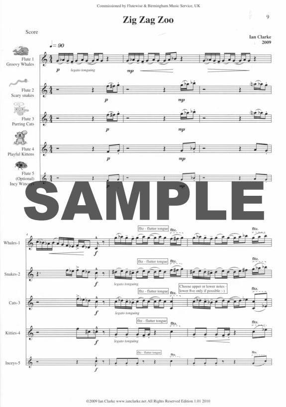 Buy Zig Zag Zoo Online at $35.95 - Flute World