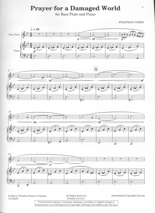 Buy Prayer for a Damaged World Online at $9.99 - Flute World