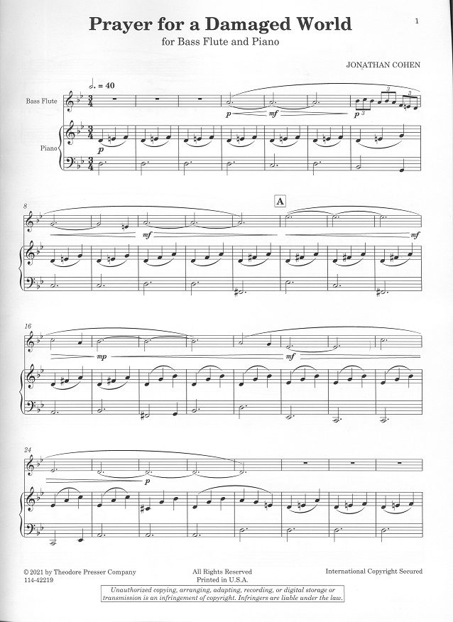 Buy Prayer for a Damaged World Online at $9.99 - Flute World