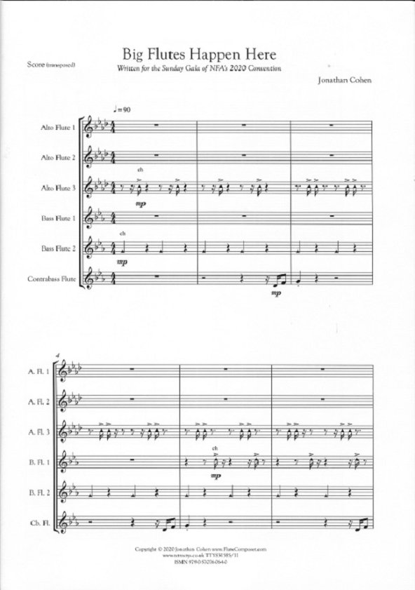 Buy Big Flutes Happen Here Online at $36.95 - Flute World