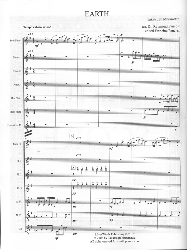 Buy Earth Online at $35 - Flute World