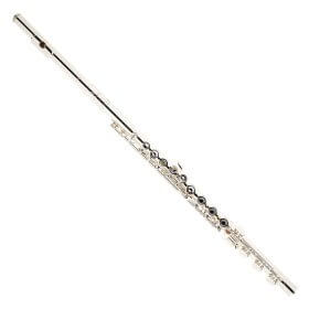 Buy Azumi AZ2 Online at $2514 - Flute World