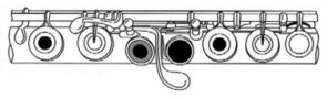 Flute Features Explained: Rollers, Mechanisms, and More | Flute World
