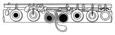 Flute Features Explained: Rollers, Mechanisms, and More | Flute World