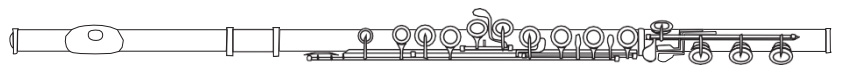 Guide to Flute Icons: Understanding Features Easily | Flute World