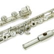 Shop Pre-Owned Online from Flute World