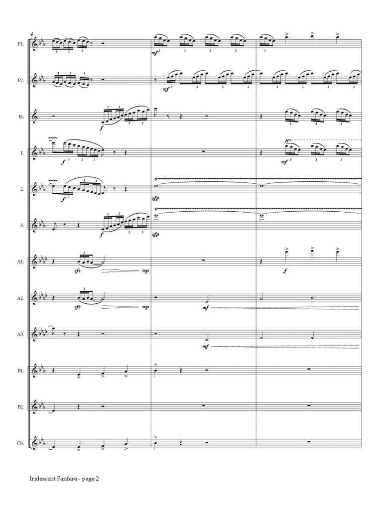 Buy Iridescent Fanfare Online at $24 - Flute World
