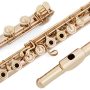 Buy a Flute Online from America's #1 Flute Retailer - Flute World