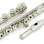 Buy a Flute Online from America's #1 Flute Retailer - Flute World