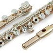 Shop Pre-Owned Online from Flute World