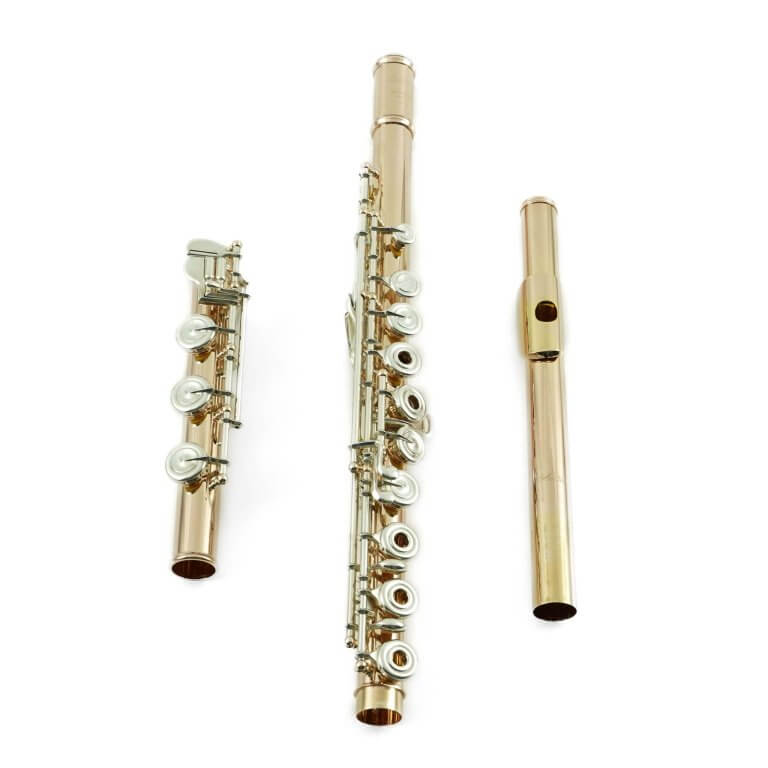 Shop All Instruments Online from Flute World