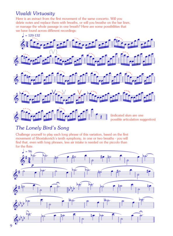 Buy Peter’s Piccolo World: Book Two Online at $30 - Flute World