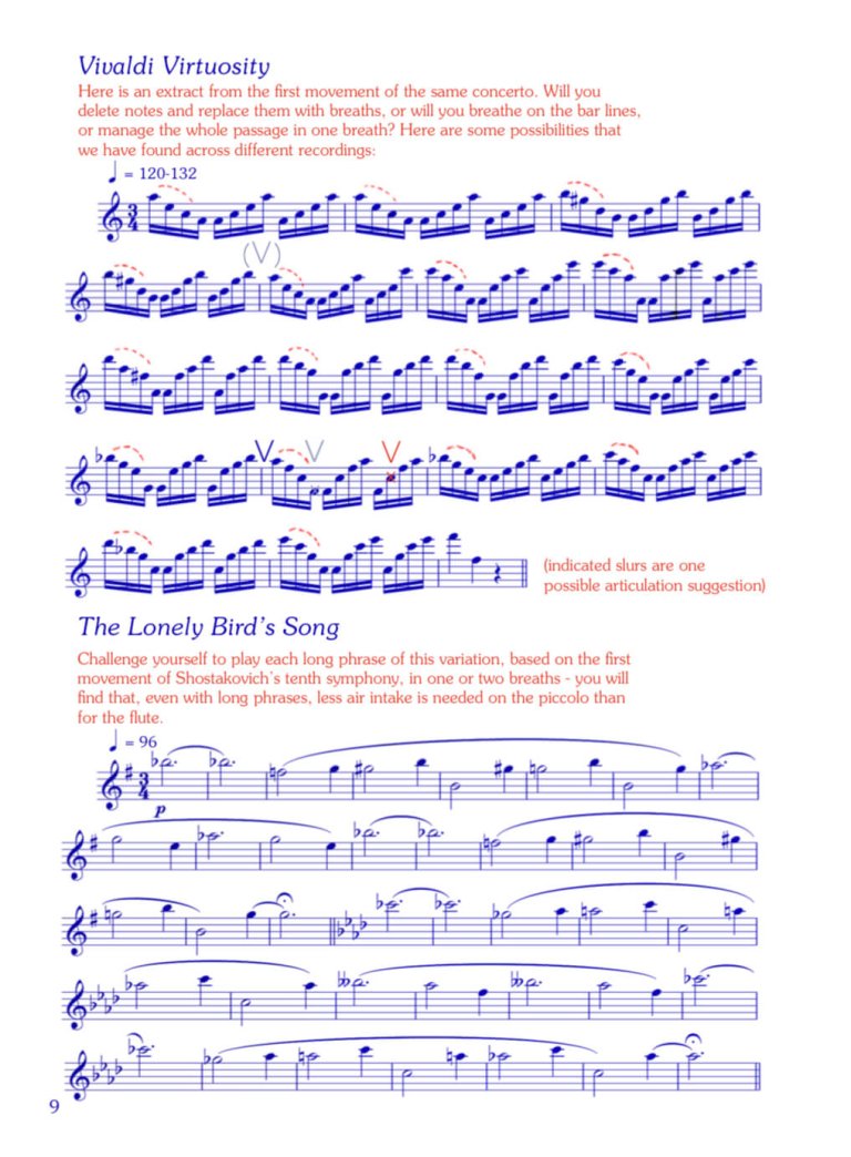 Buy Peter’s Piccolo World: Book Two Online at $30 - Flute World